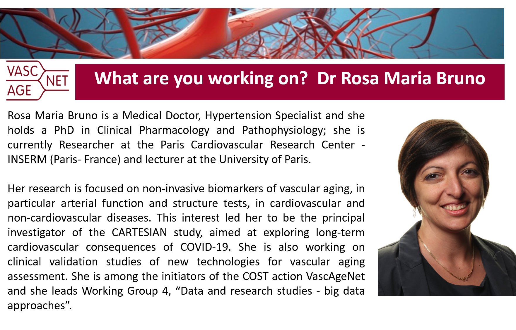 What are you working on? Dr. Rosa Maria Bruno – VascAgeNet
