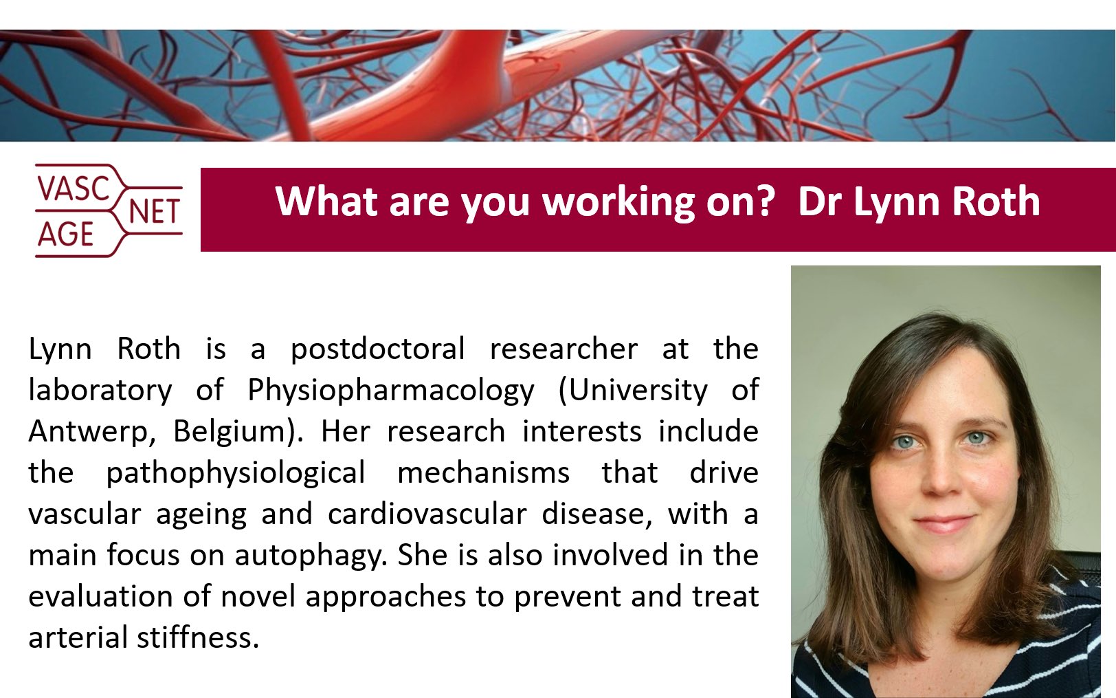 What are you working on? Dr Lynn Roth – VascAgeNet