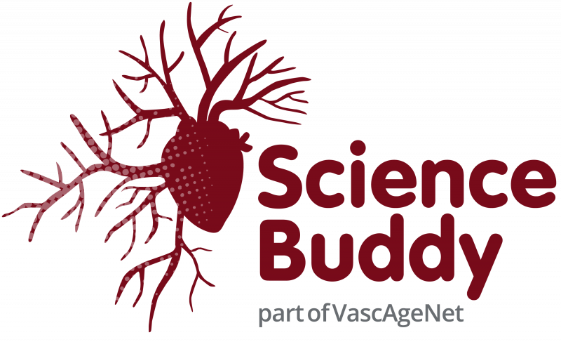Science Buddy Program – VascAgeNet